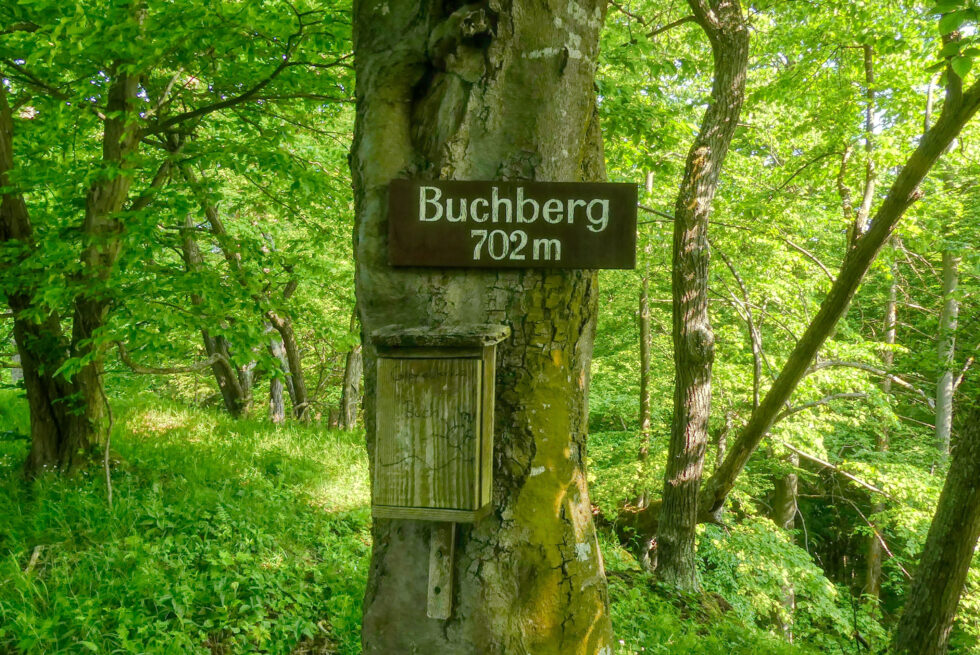 buchberg Archive - Stephan Schmatz